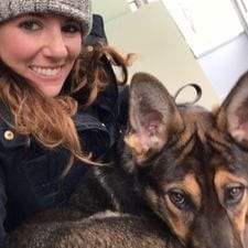 Testimonials - Dog Trainer Boston