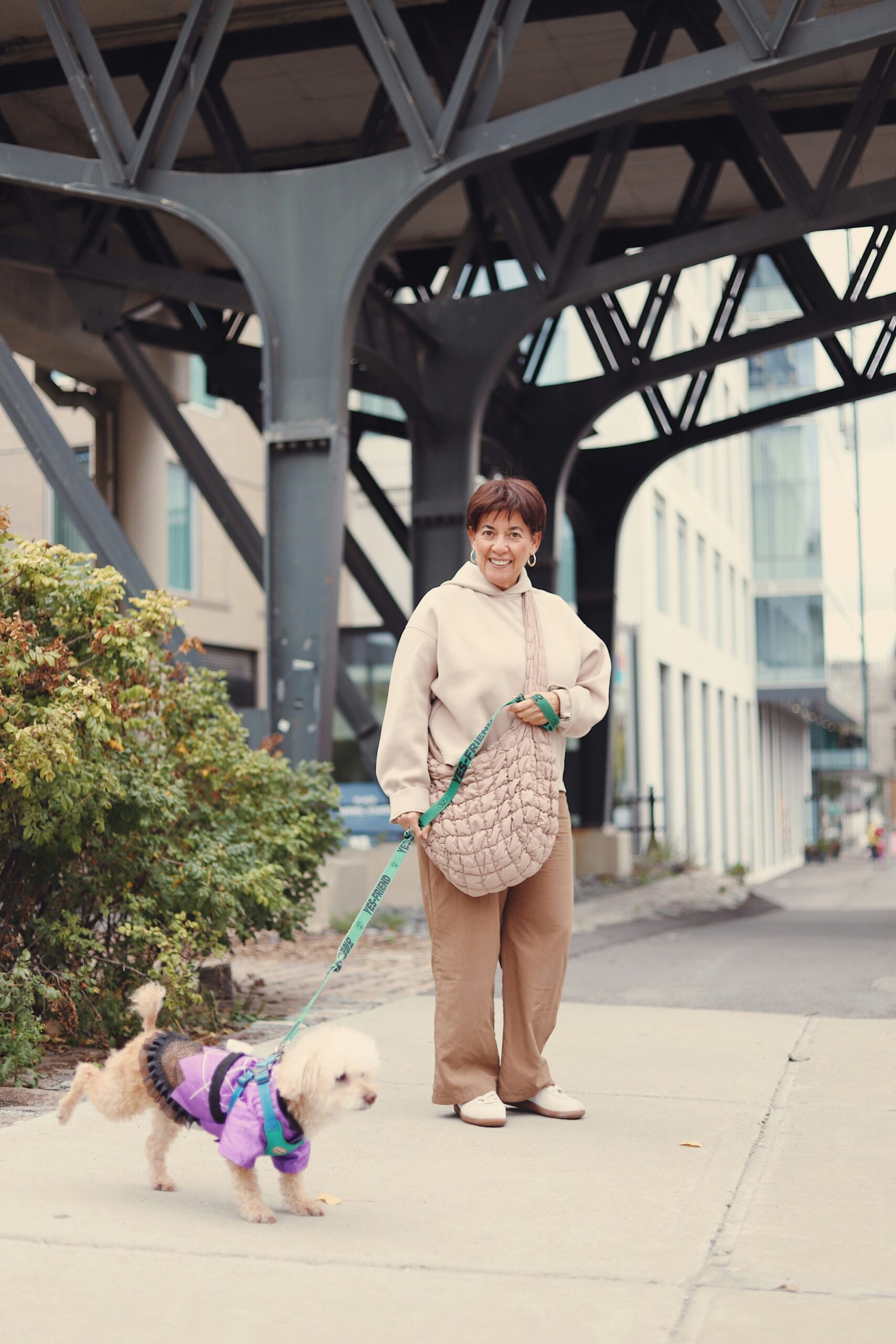 A Day in the Life of a Neighborhood Dog - Dog Trainer Boston